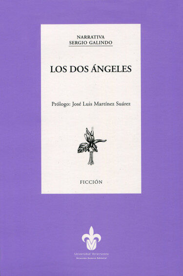 Los Dos Ángeles en formato Audiolibro y eBook - EditorialSananda.es